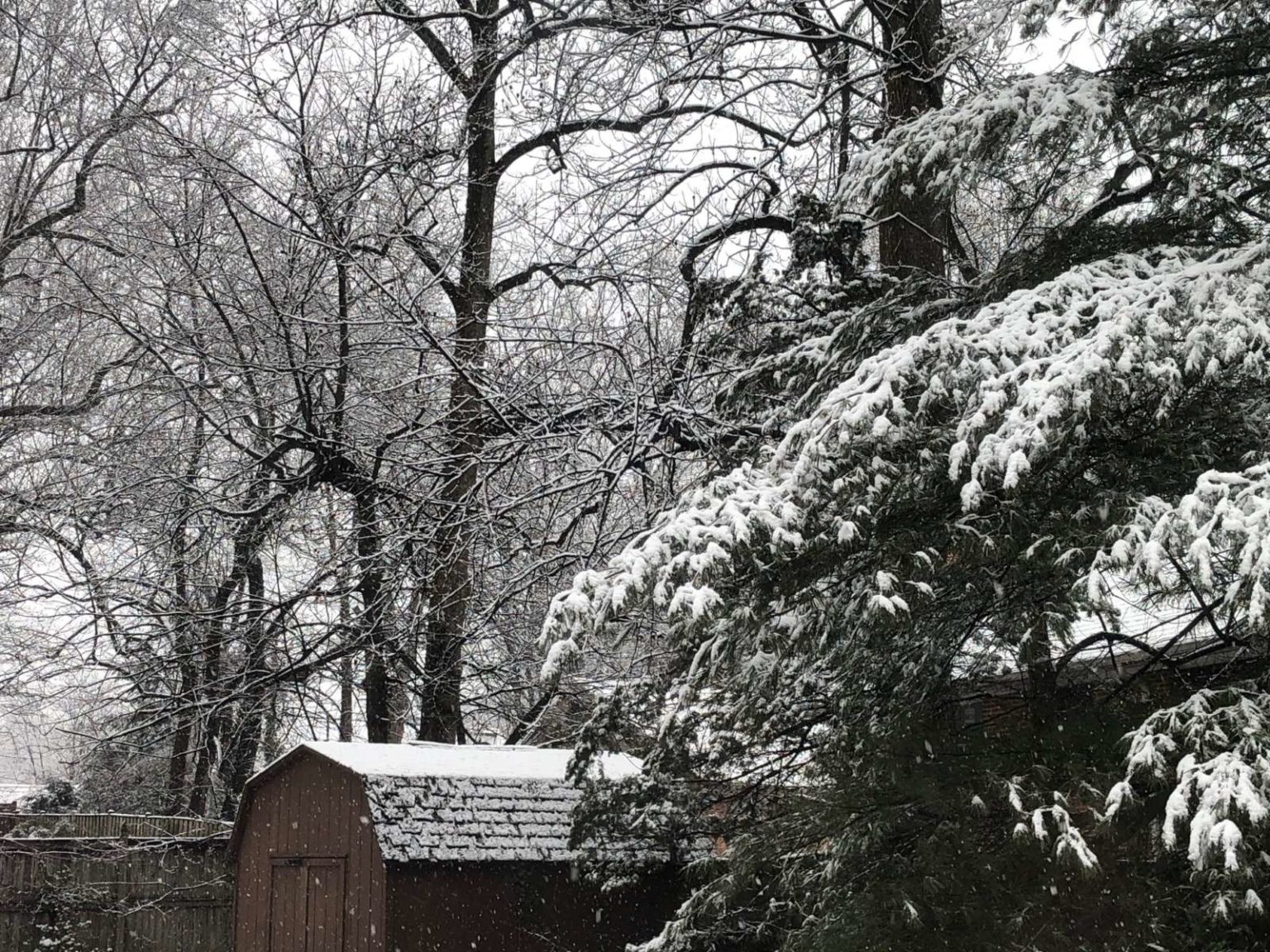 Up to Three Inches of Snow Expected in Fairfax County Today | Tysons ...