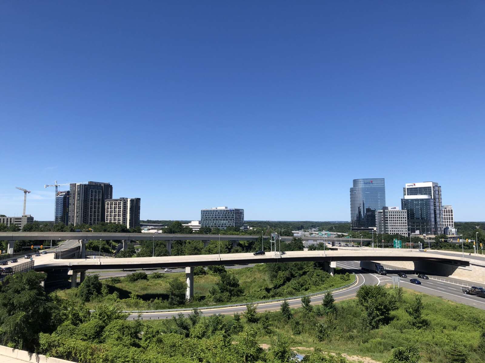 Weekly Planner: Pup-Tober Fest, Beer School in Tysons | Tysons Reporter